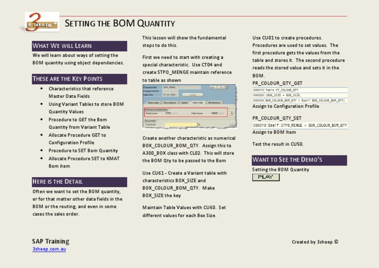 Setting Bom Quantities | PDF | Computer Data | Data Management