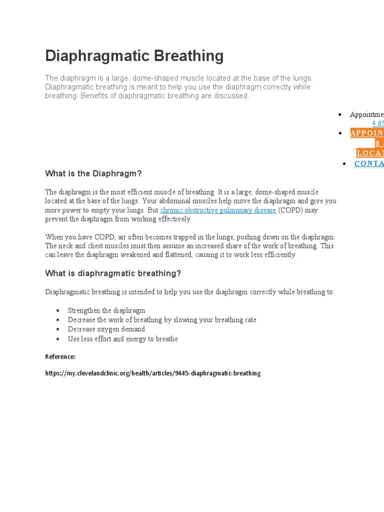 Diaphragmatic Breathing: What Is The Diaphragm? | PDF