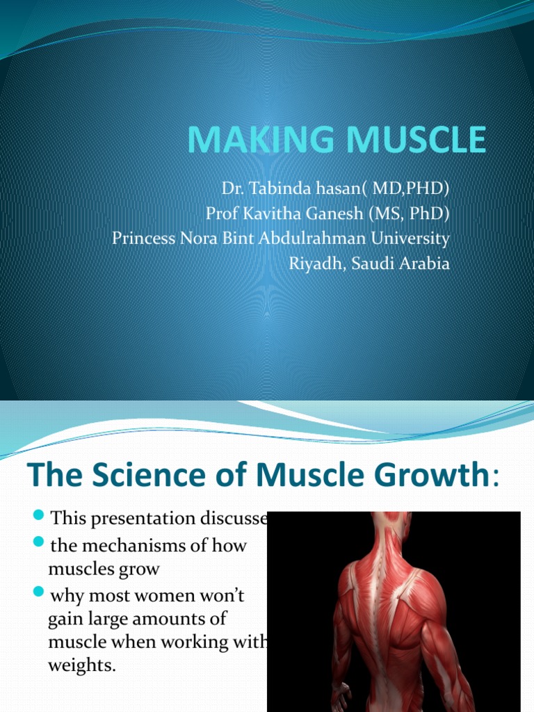 Understanding Muscle Growth Mechanisms | PDF | Muscle Hypertrophy ...