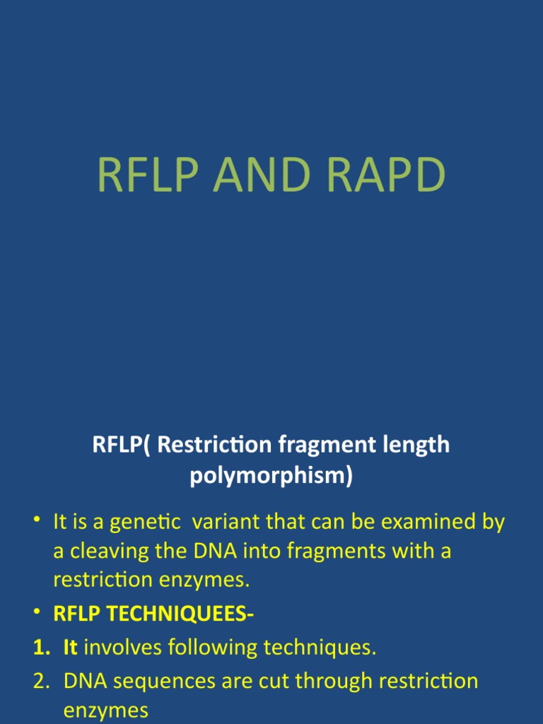 RFLP and Rapd | PDF