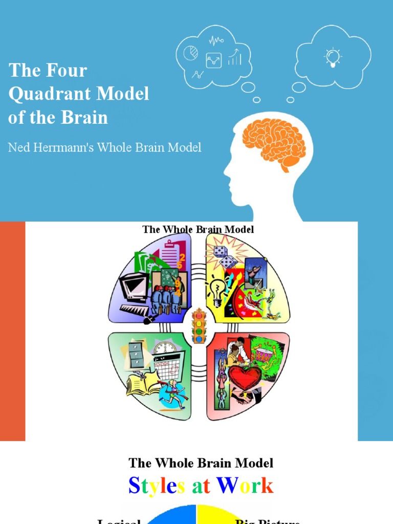 The Four Brain Quadrants: Understanding Different Cognitive Styles ...
