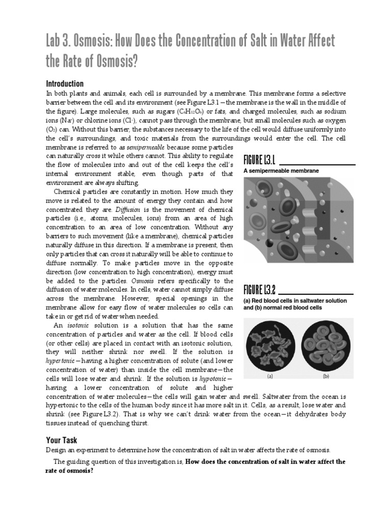 Lab3Handout Osmosis PDF | PDF | Osmosis | Cell Membrane