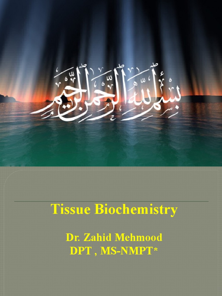 Tissue Biochemistry | PDF | Extracellular Matrix | Connective Tissue
