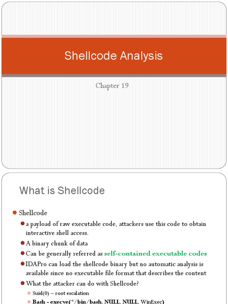 11 2 Shellcode | PDF | Computer Programming | Computing