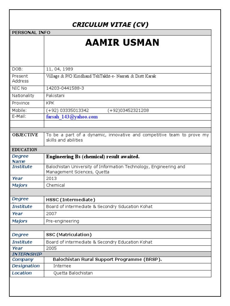 Aamir Usman: Criculum Vitae (CV) | PDF | Further Education | Business