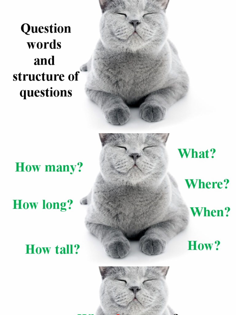 English Question Structures for ESL Learners | PDF | Language Arts ...