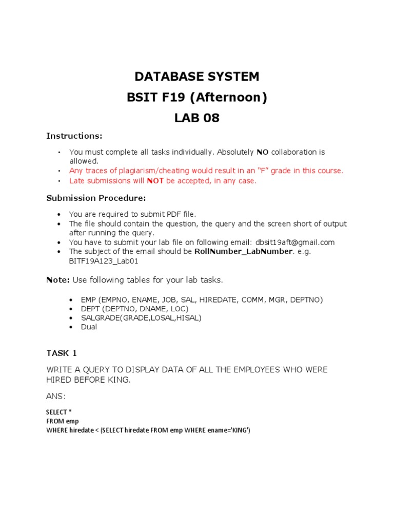 Database System BSIT F19 (Afternoon) LAB 08: Instructions | PDF ...