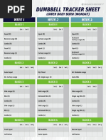 LIIFT4 Weight Progression Tracker 6.10.18 PDF | PDF | Weight Training ...