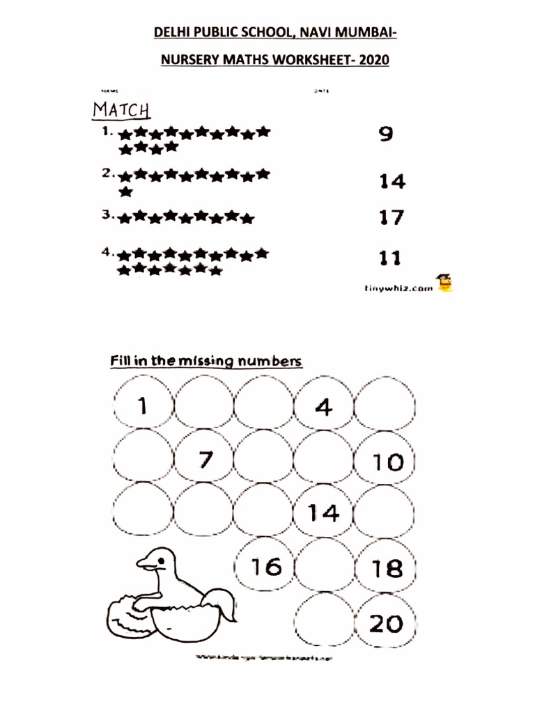 Nursery Maths Worksheet | PDF