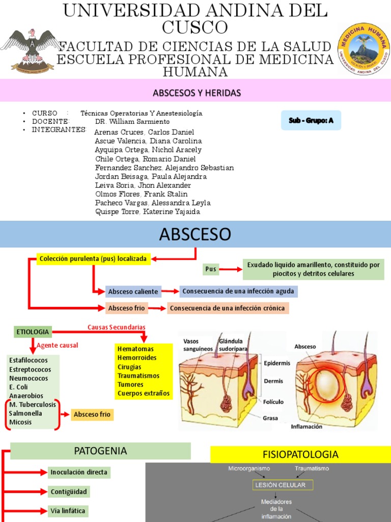 Absceso, Heridas y Politraumatizados | PDF | Cicatrización de la herida ...