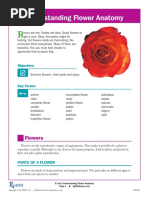 Flower | PDF | Plant Reproduction | Flowers