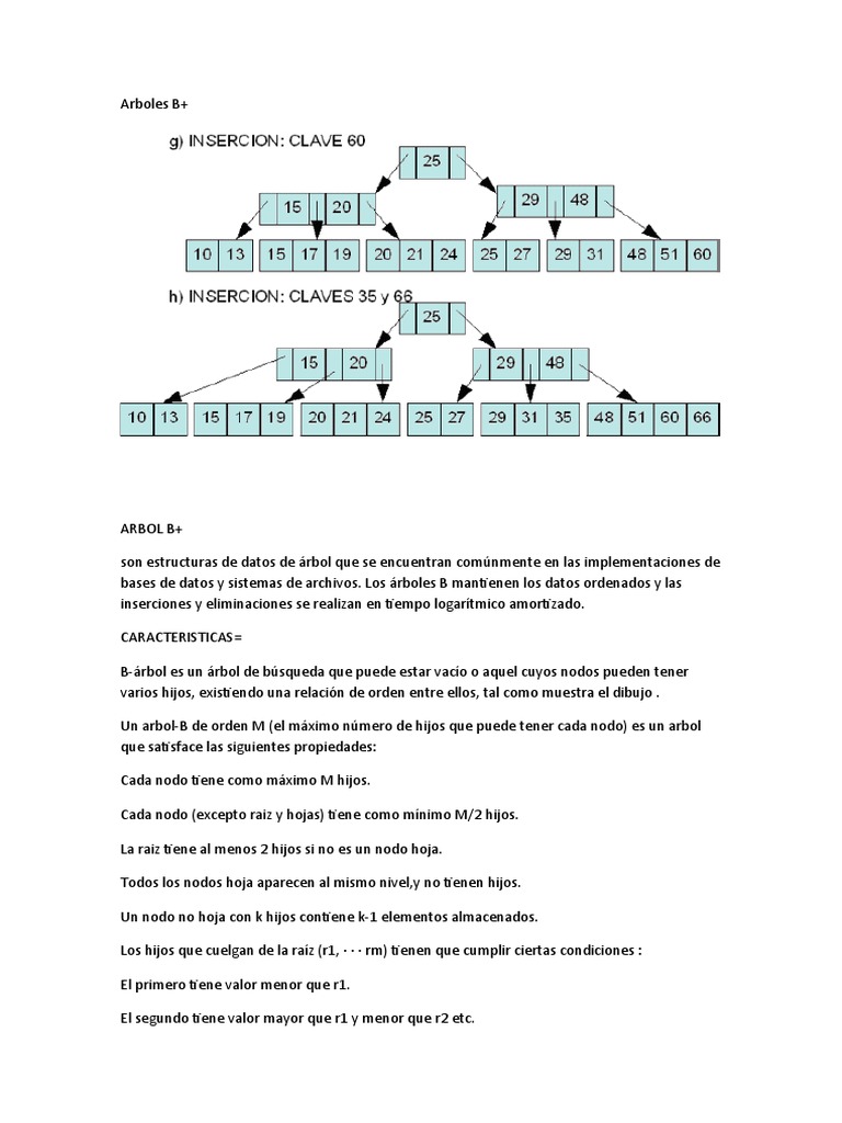 Estructura y Operaciones de Árboles B+ | PDF | Matemáticas Aplicadas ...