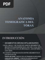 Niveles Axilares de Berg | PDF