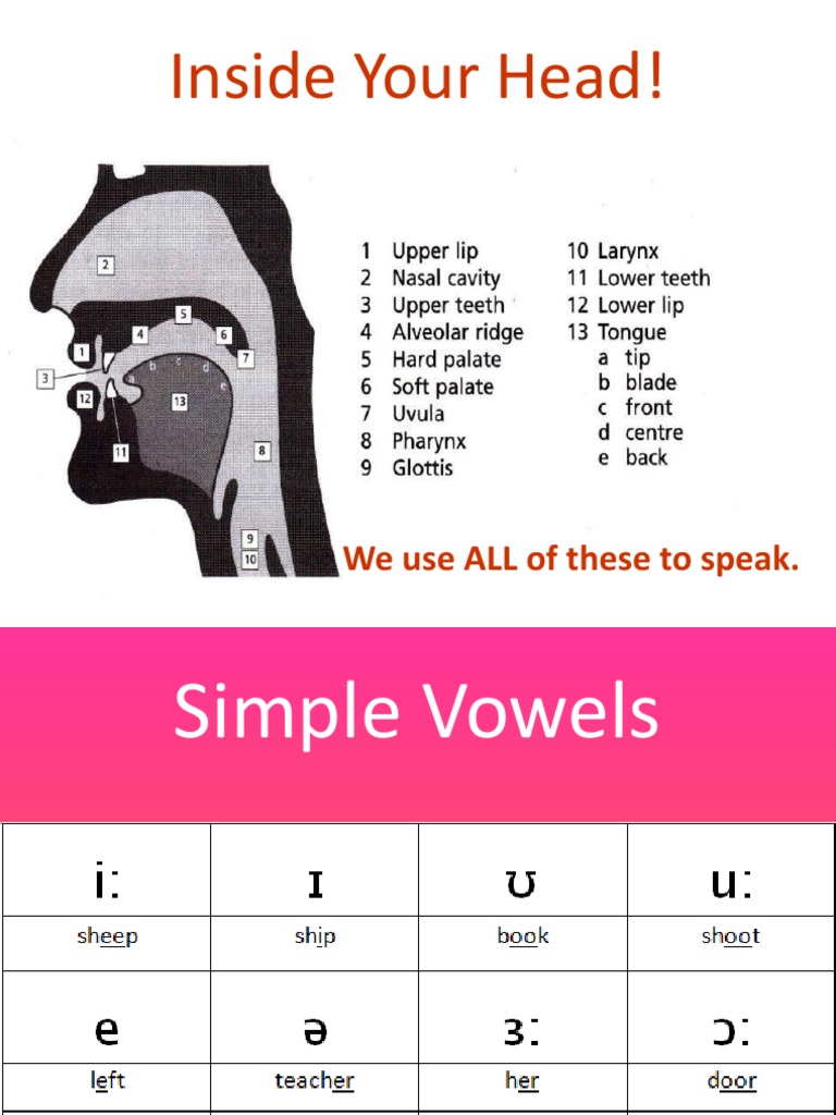 2 Stress and Intonation | Download Free PDF | Stress (Linguistics) | Adverb