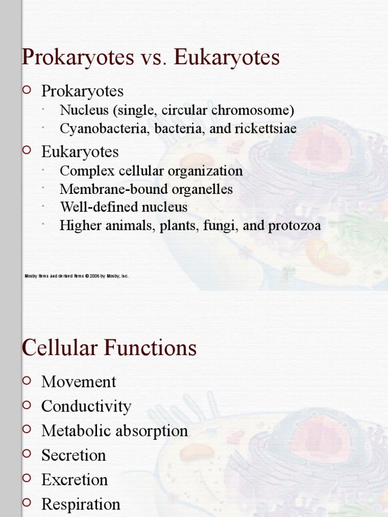 Cells and Organelles | PDF | Cell Nucleus | Endoplasmic Reticulum