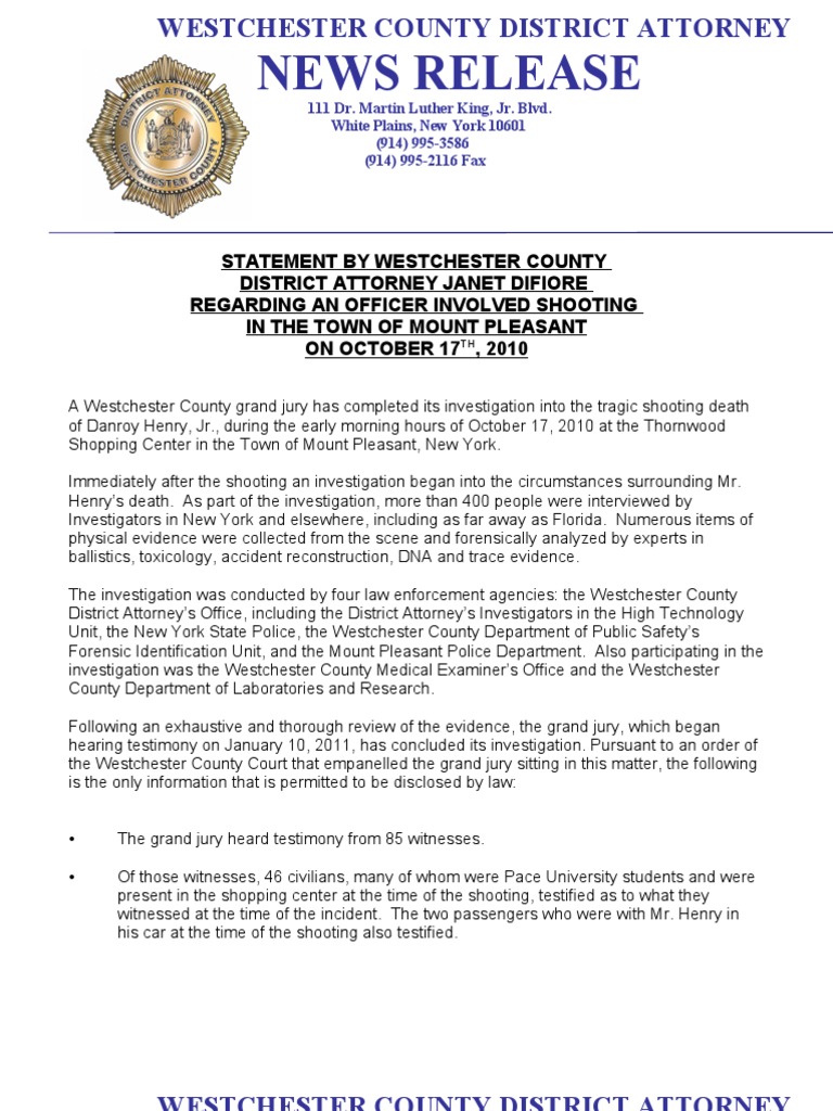 Grand Jury Findings on Danroy Henry Case | PDF | Testimony | Forensic ...