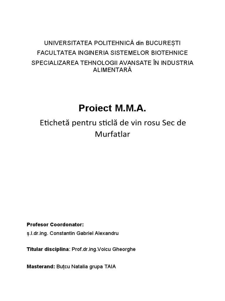 Proiect Mma | PDF