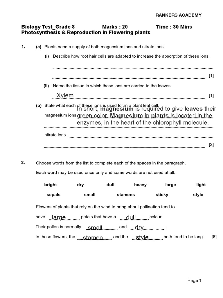 Biology Test - Grade 8 - Photosynthesis & Flowering Plants PDF ...