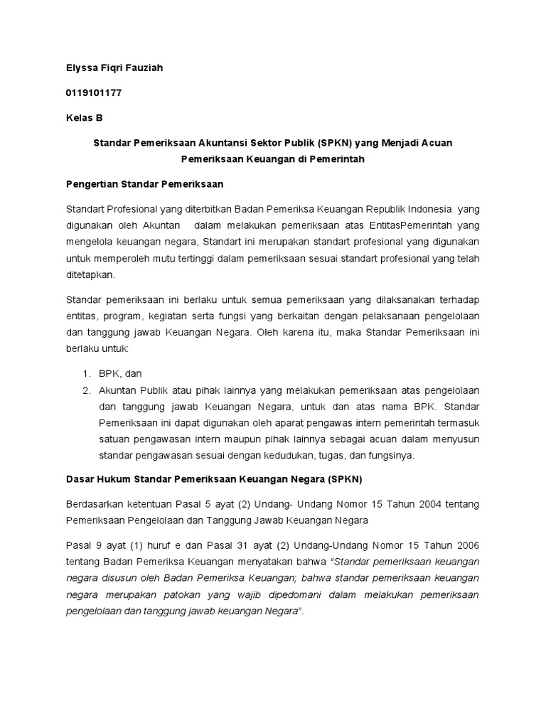 Standar Pemeriksaan Akuntansi Sektor Publik (SPKN) | PDF