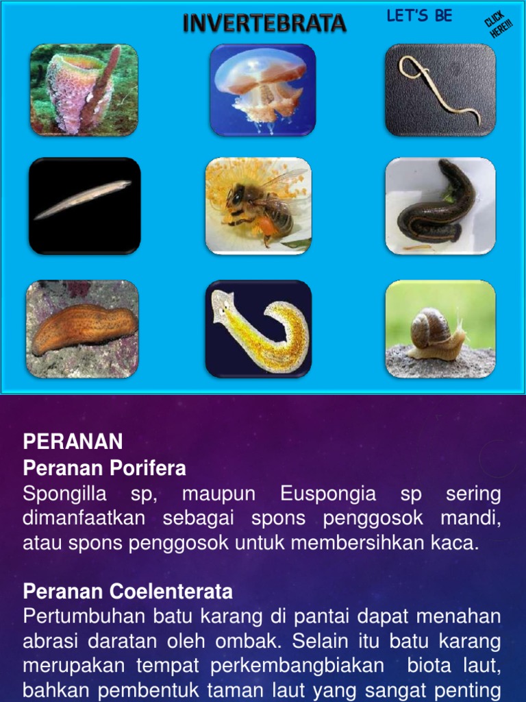 Peranan Beragam Hewan Invertebrata | PDF