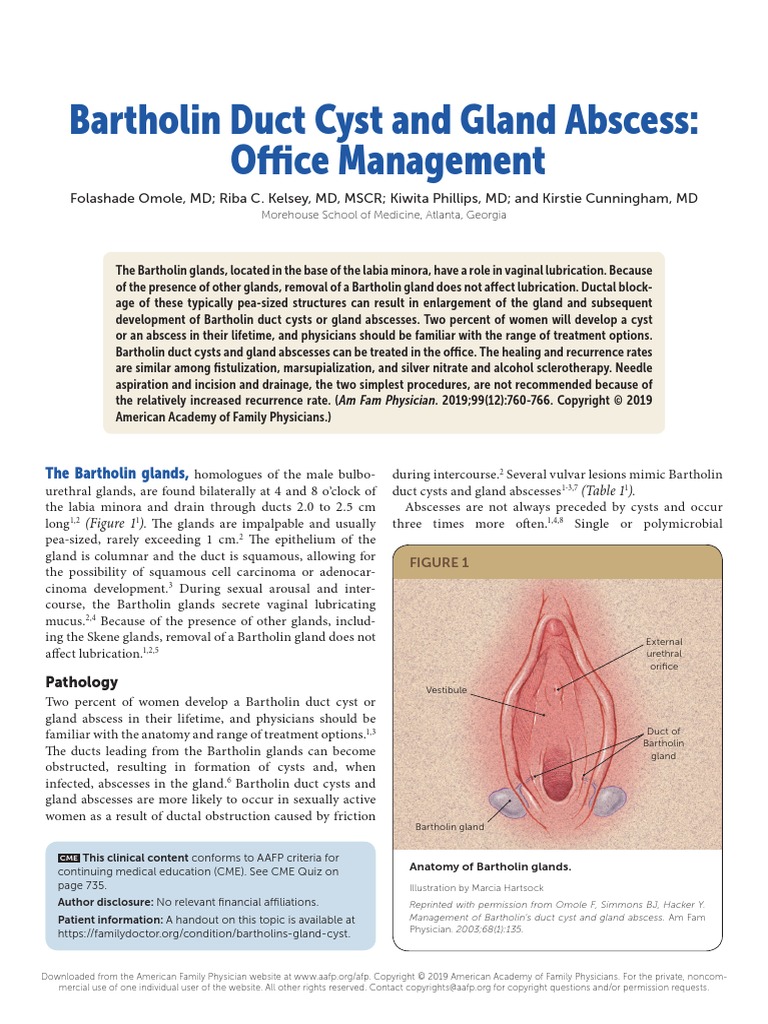 Kista Kelenjar Bartolini (Management) | PDF | Surgical Suture | Labia