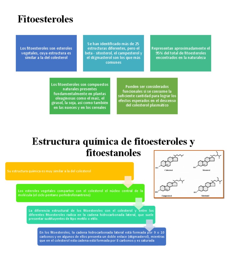Fitoesteroles: Estructura y Fuentes Naturales | PDF | Ciencia y matemáticas