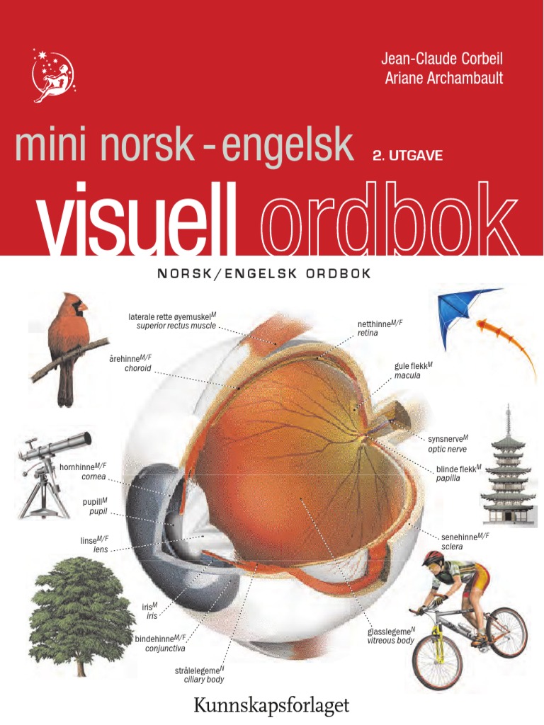 Mini Visuell Ordbok Norsk Engelsk | PDF
