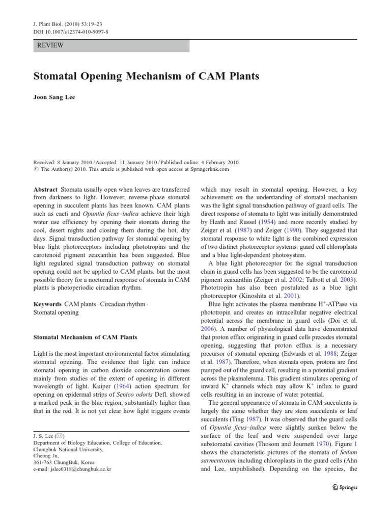 Stomatal Opening Mechanism of CAM Plants: Review | PDF | Stoma ...