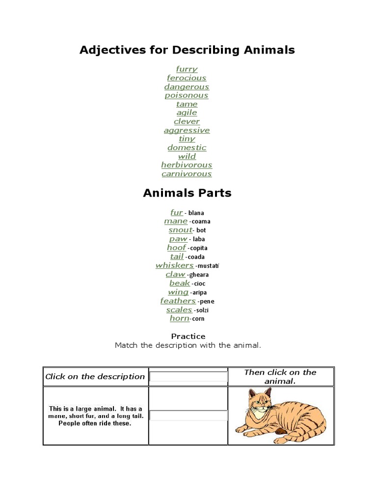 Describing Animals | PDF
