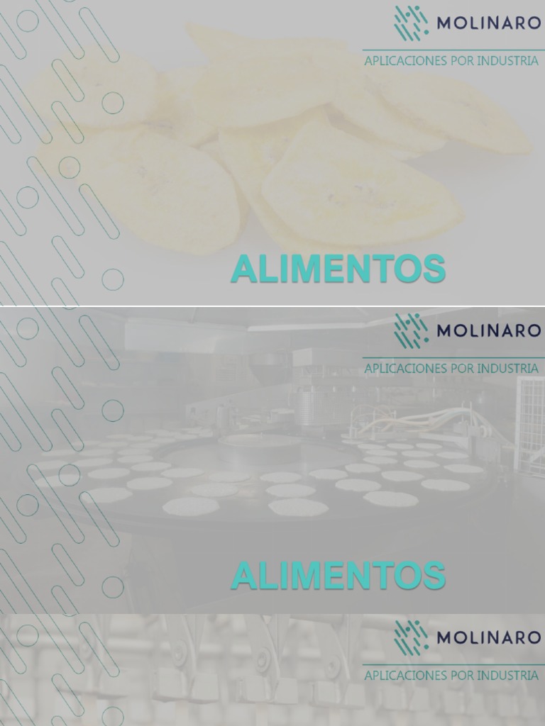 Catalogo de Bandas para Alimentos | PDF | Alimentos | Industria de ...