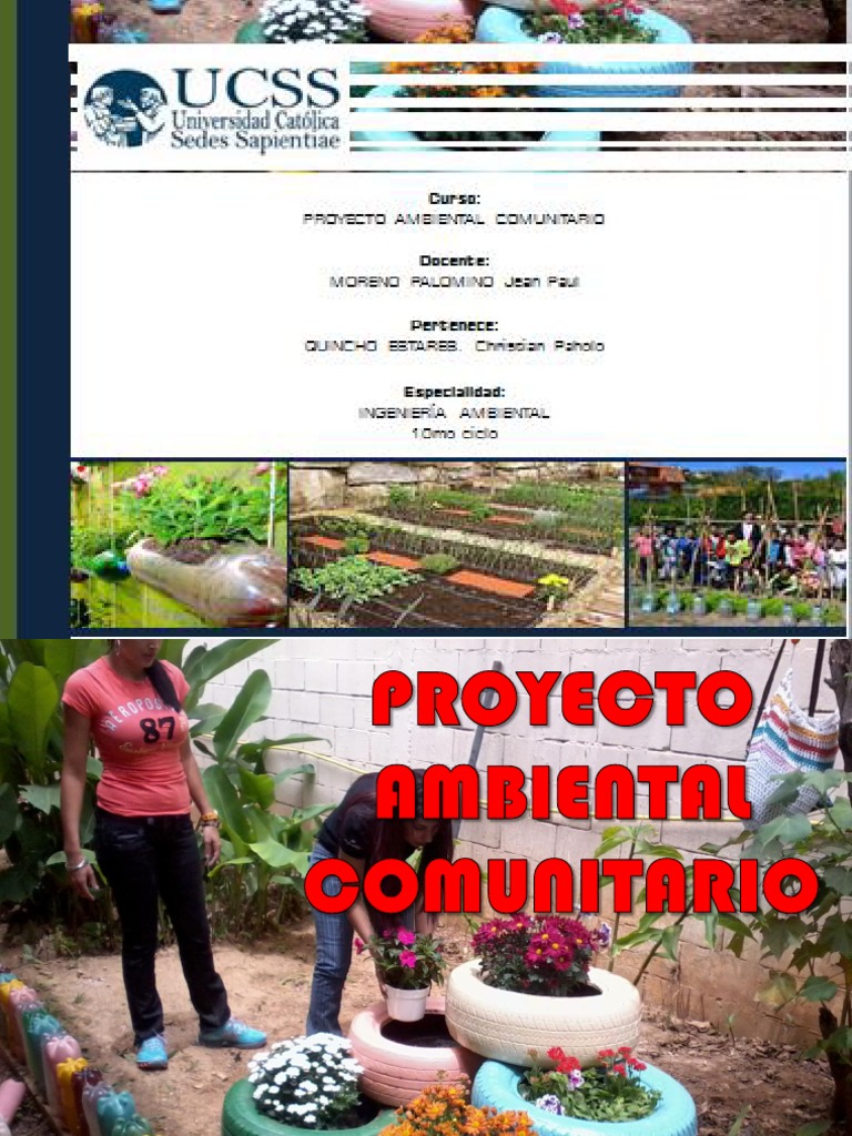 Ejemplo de PROYECTO AMBIENTAL COMUNITARIO | PDF | Cognición | Aprendizaje