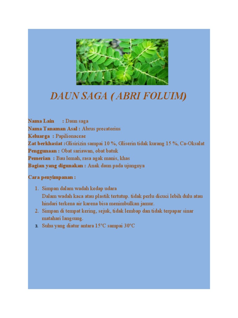 Daun Saga | PDF