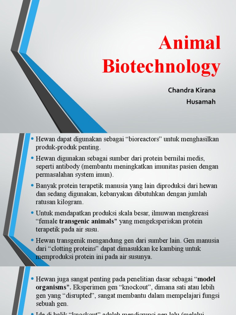 Animal Biotechnology | PDF