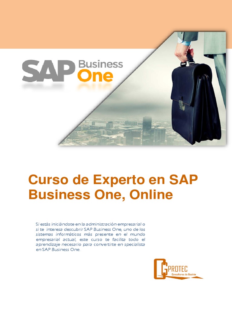 Catalogo CURSO DE SAP Bussines One | PDF | Sap Se | Business
