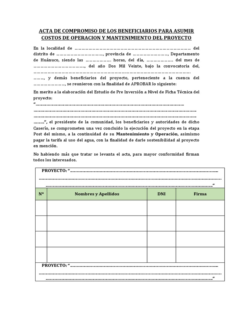 ACTA DE COMPROMISO DE OyM | PDF