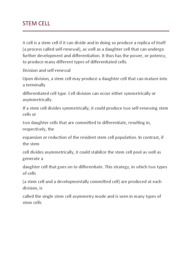 Stem Cell | PDF