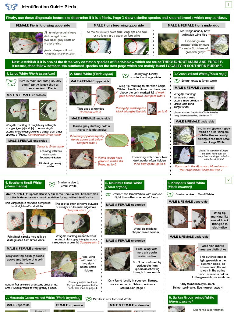 EBG Pieris Guide | PDF