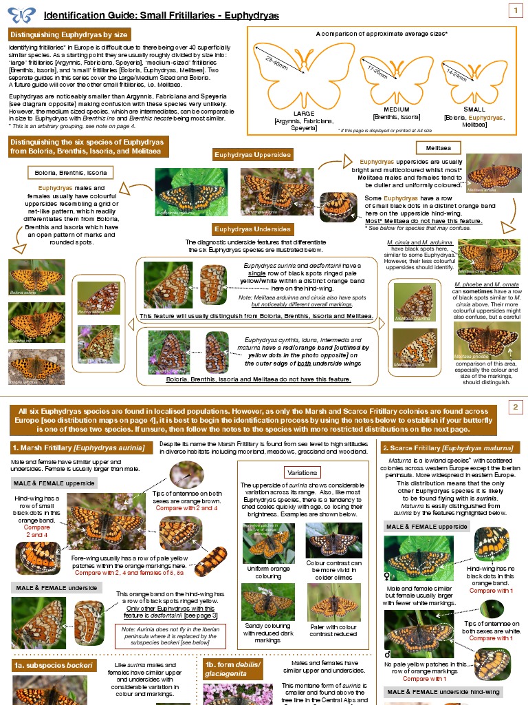 EBG Euphydryas Guide | PDF