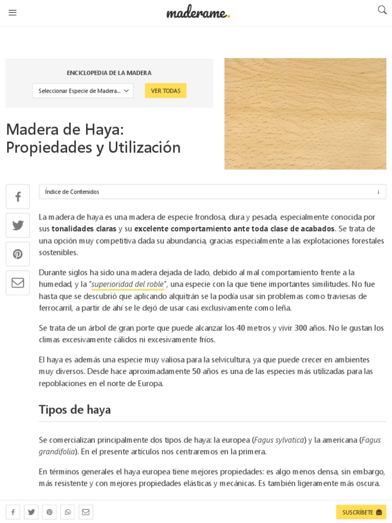 Madera de Haya - Características y Principales Usos | PDF | Madera ...