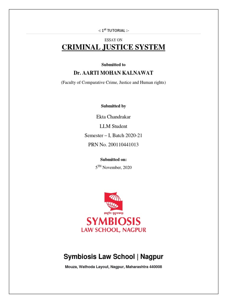 Essay On Criminal Justice System | Download Free PDF | Criminal Justice | Crime & Violence