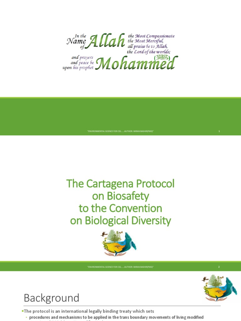 The Cartagena Protocol | PDF | Policy | Public Sphere