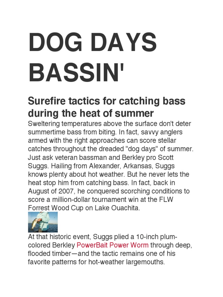 Fishing Notes 1524SIN | PDF | Fish | Fish And Humans