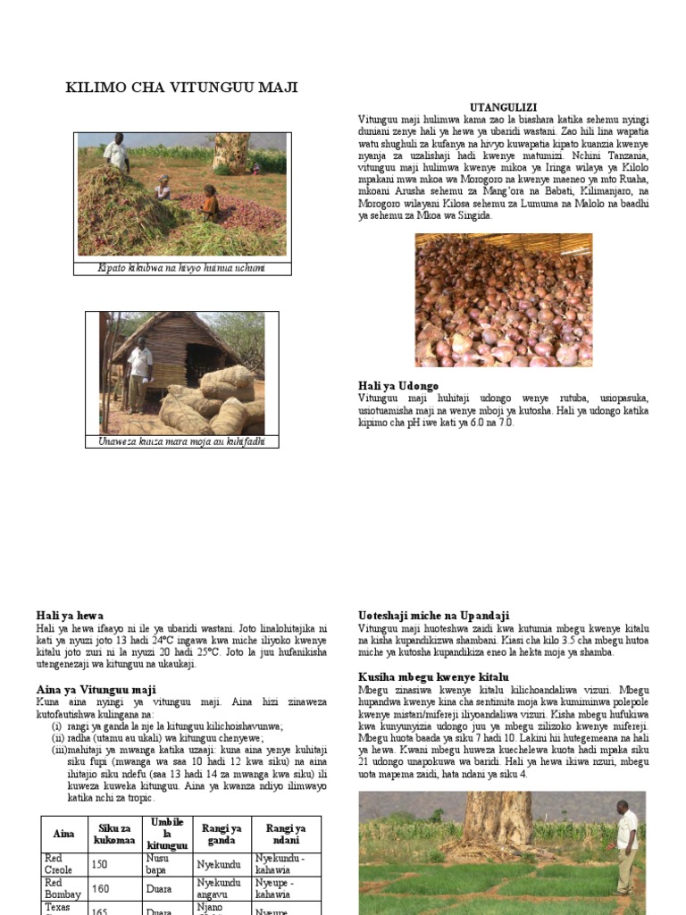 Kilimo Cha Vitunguu PDF | PDF