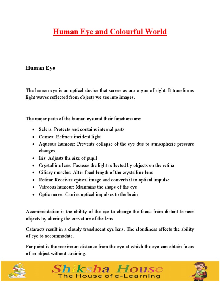 Human Eye and Colourful World | PDF | Eye | Human Eye