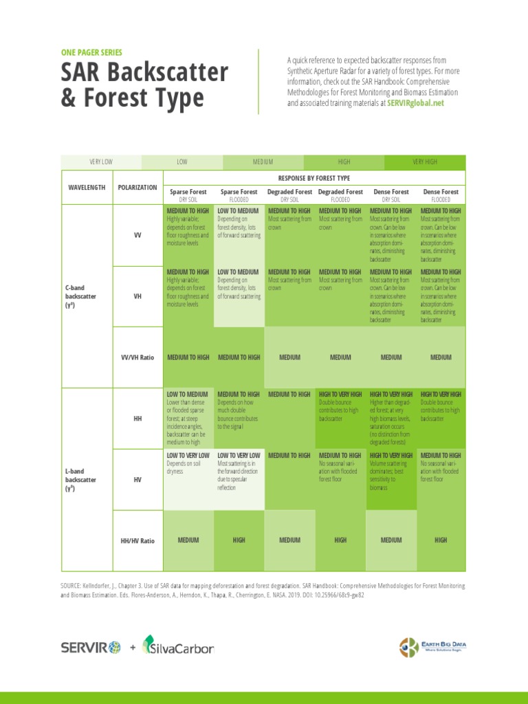 SAR Backscatter 1page New | PDF | Scattering | Forests