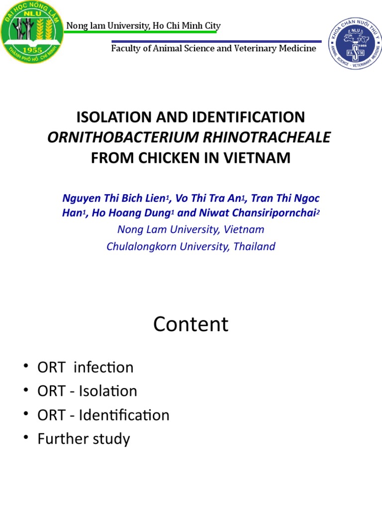 Isolation and Identification Ort From Chicken | PDF | Infection ...
