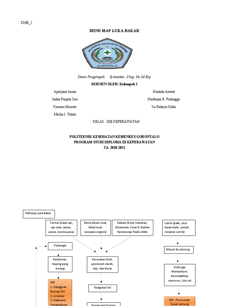 Mind Map Luka Bakar | PDF