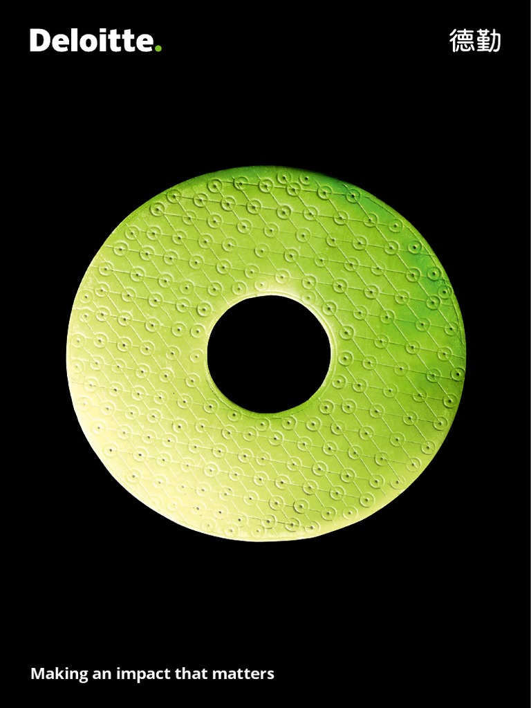 Making An Impact That Matters | PDF | Mergers And Acquisitions | Audit