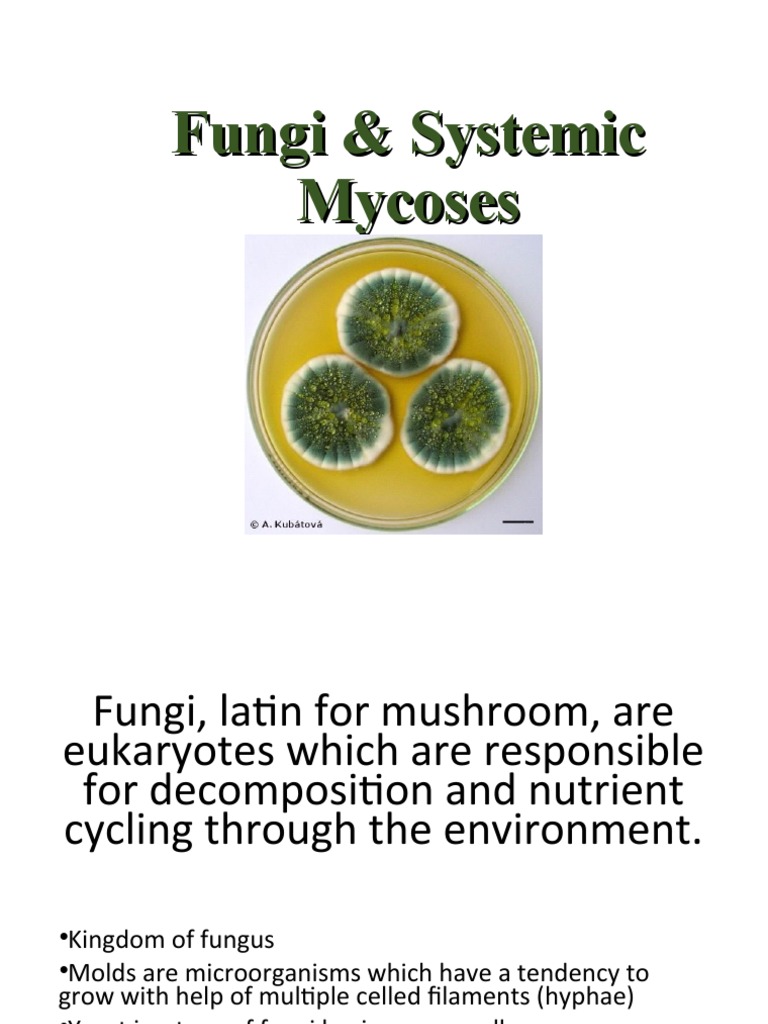Mycoses | PDF | Candida (Fungus) | Fungus