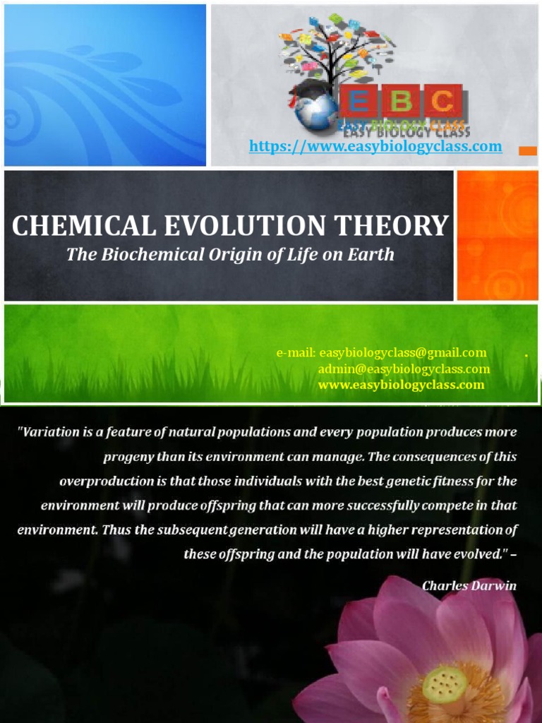 Chemical Evolution: Life's Origin | PDF
